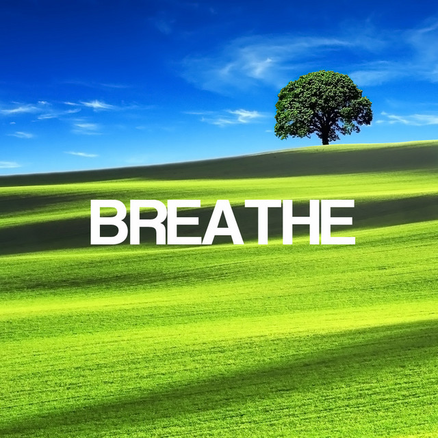 Breathe | Tunefind