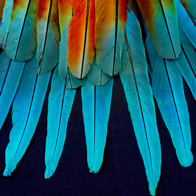 Danit Music | Tunefind