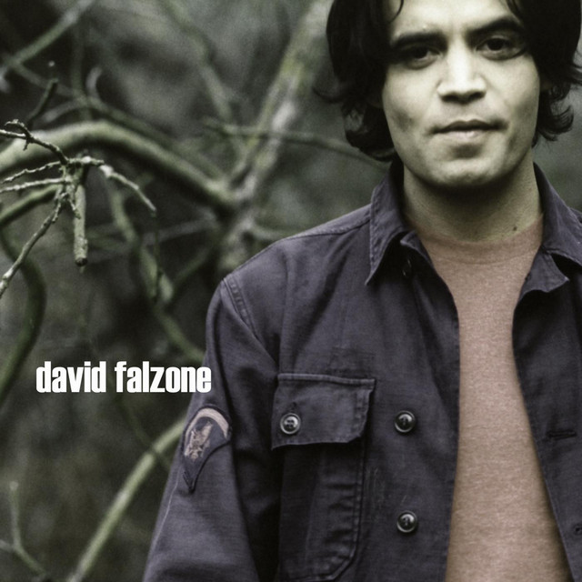 David Falzone | Tunefind