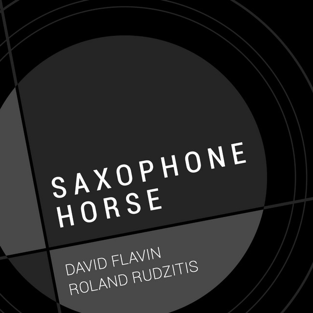 David Flavin Music | Tunefind