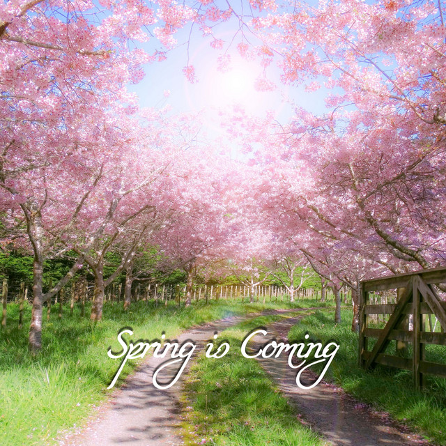 Han Seung Wook | Tunefind