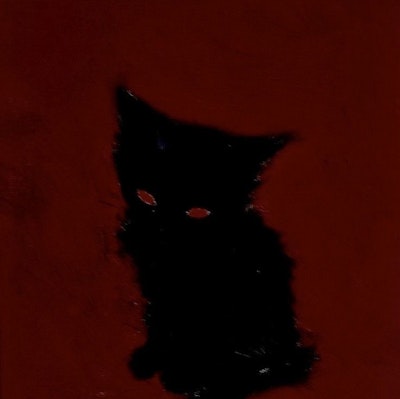 Senay Music | Tunefind