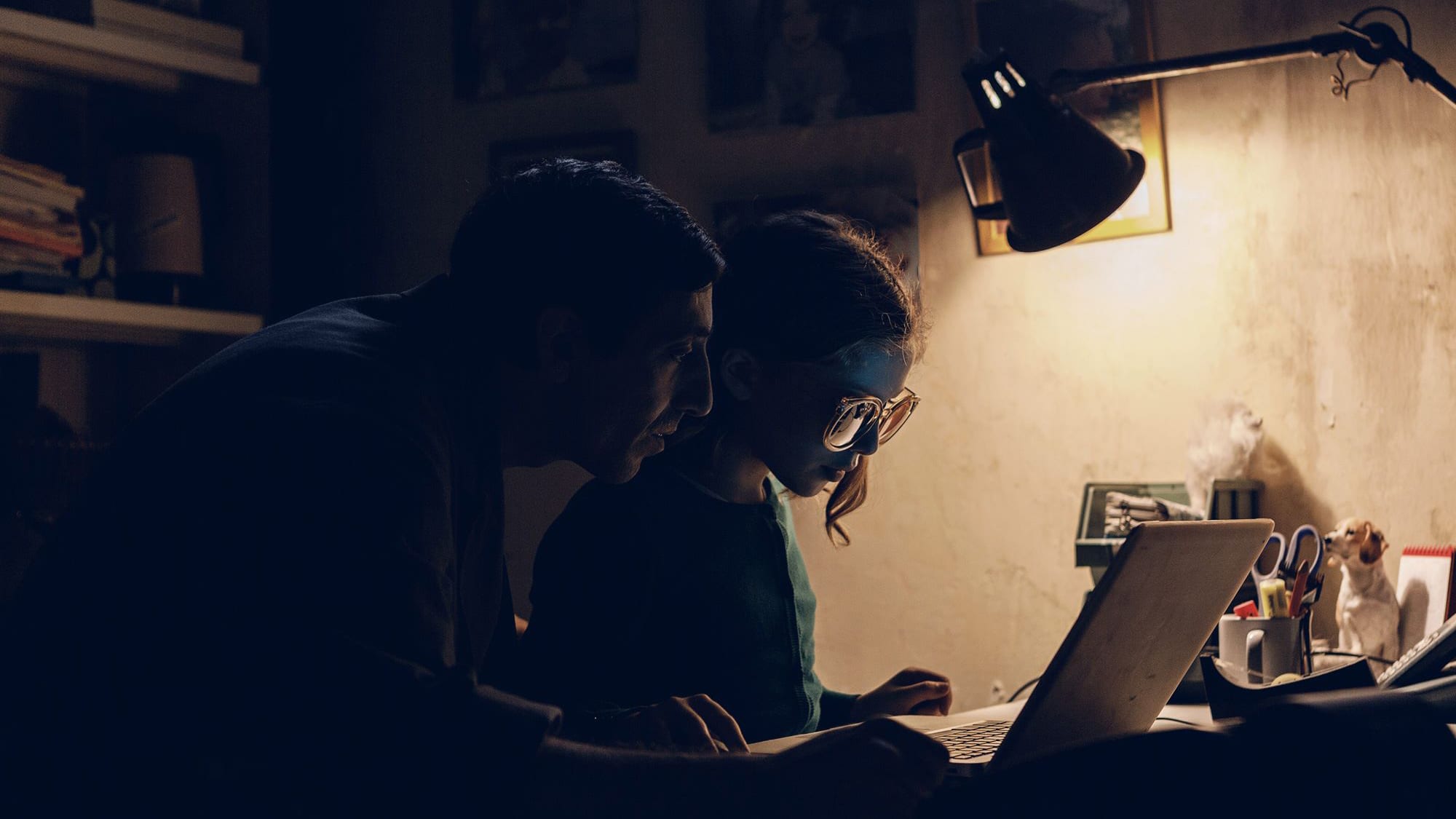 Dogman Soundtrack Music - Complete Song List | Tunefind