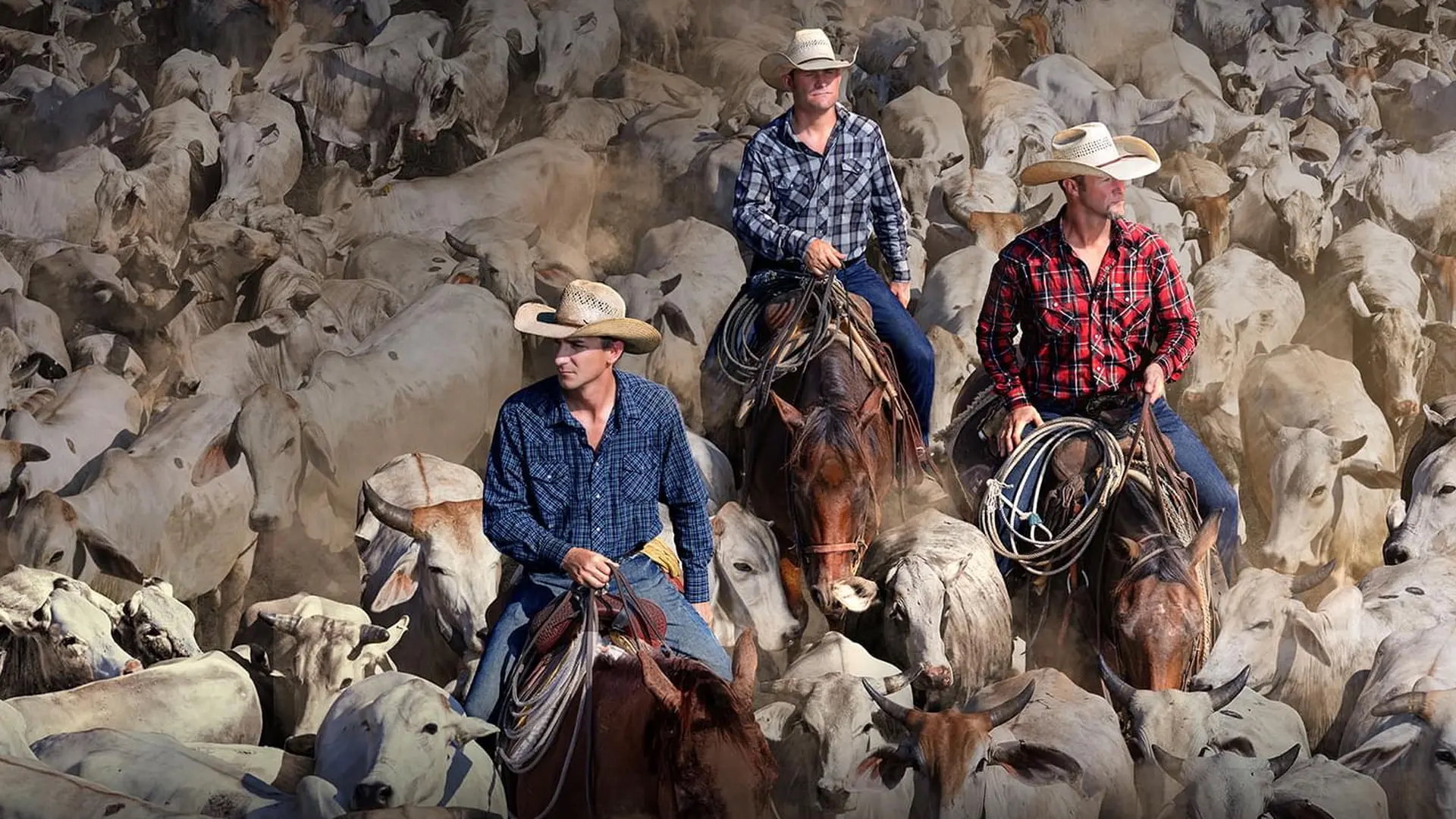 The Last Cowboy | Tunefind