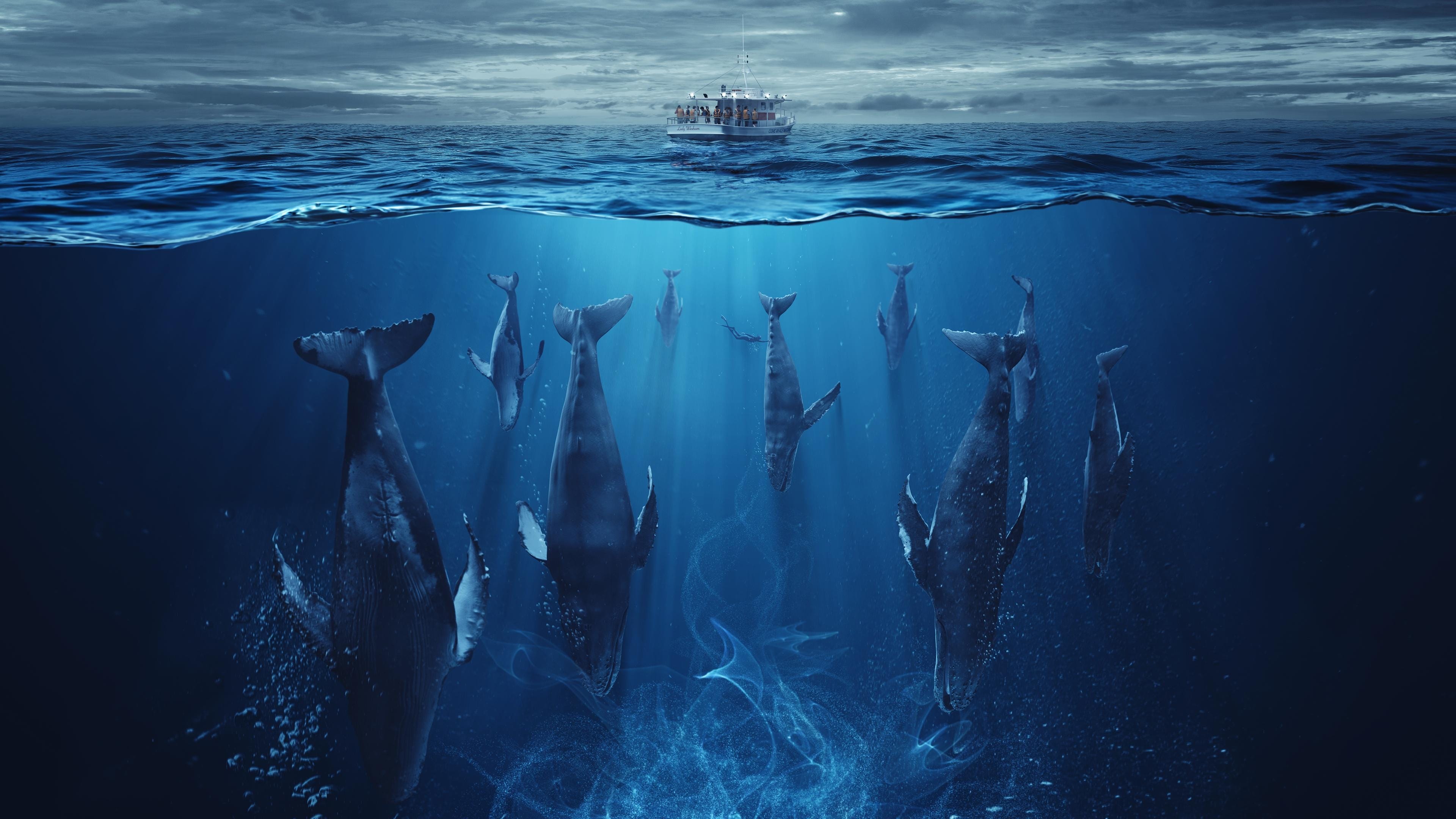 The Swarm (AKA Der Schwarm) | Tunefind